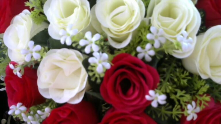 Oración a la 21 división